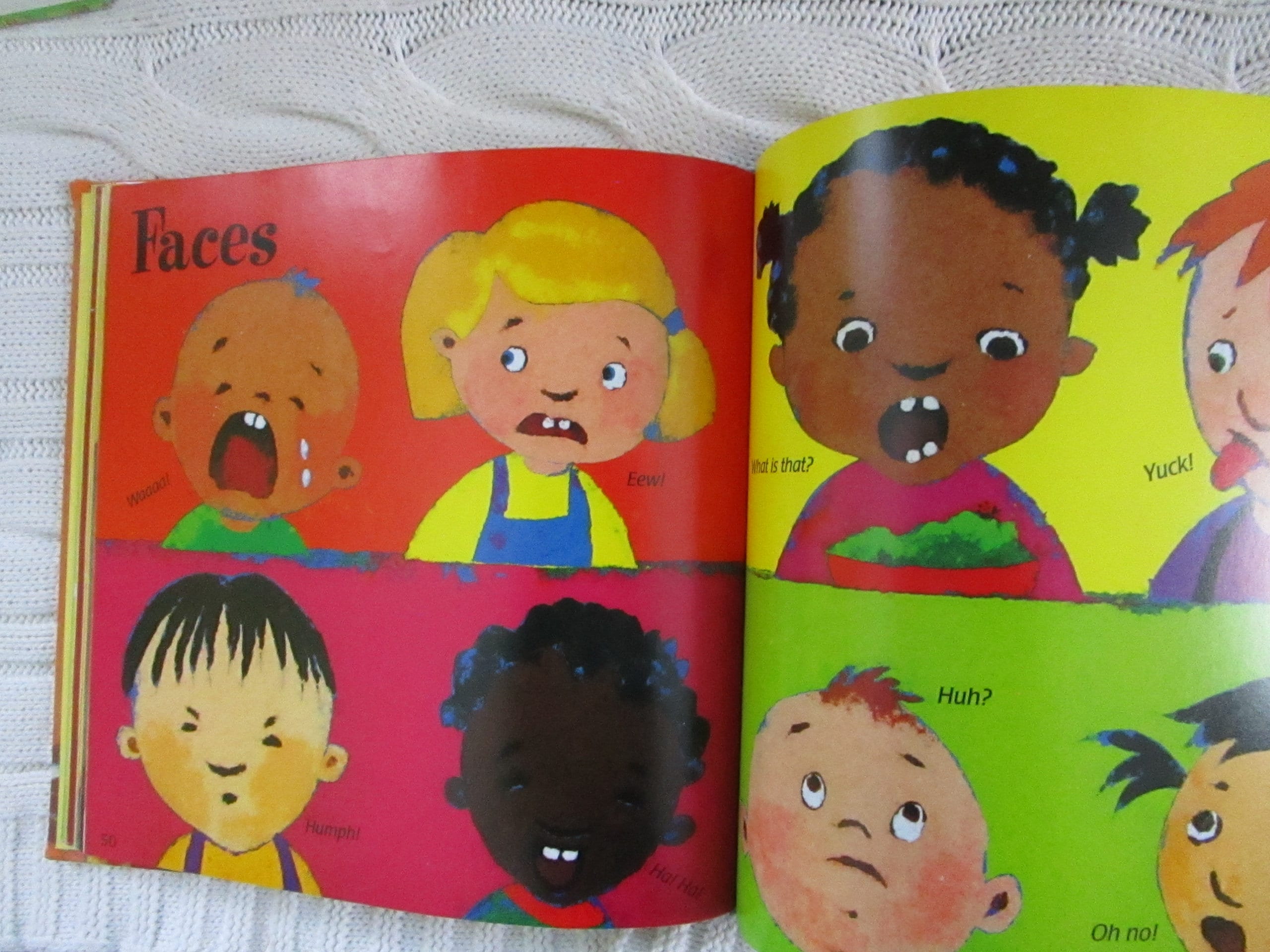 The Everything Book by Denise Fleming | Etsy