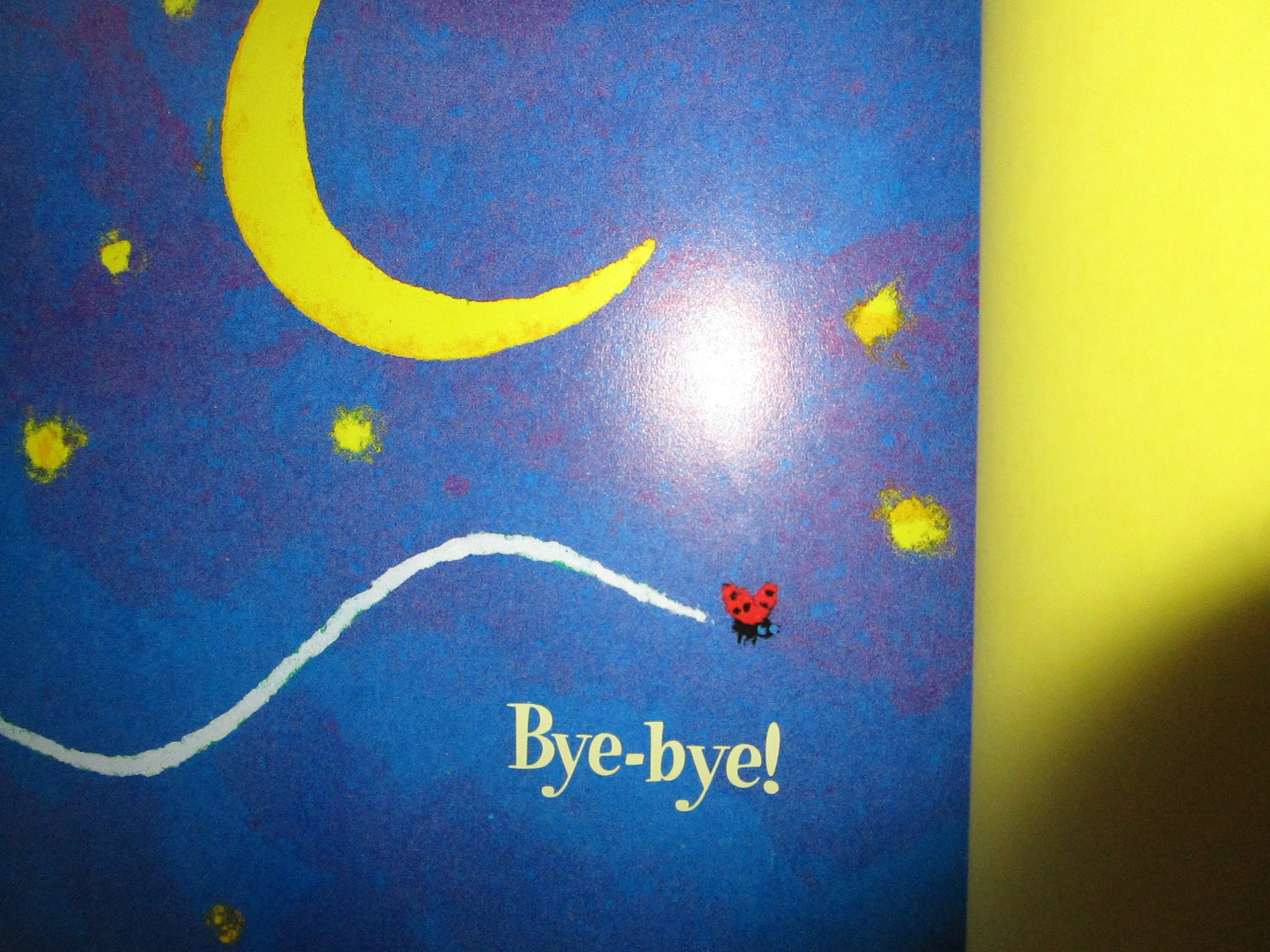 The Everything Book by Denise Fleming - Etsy
