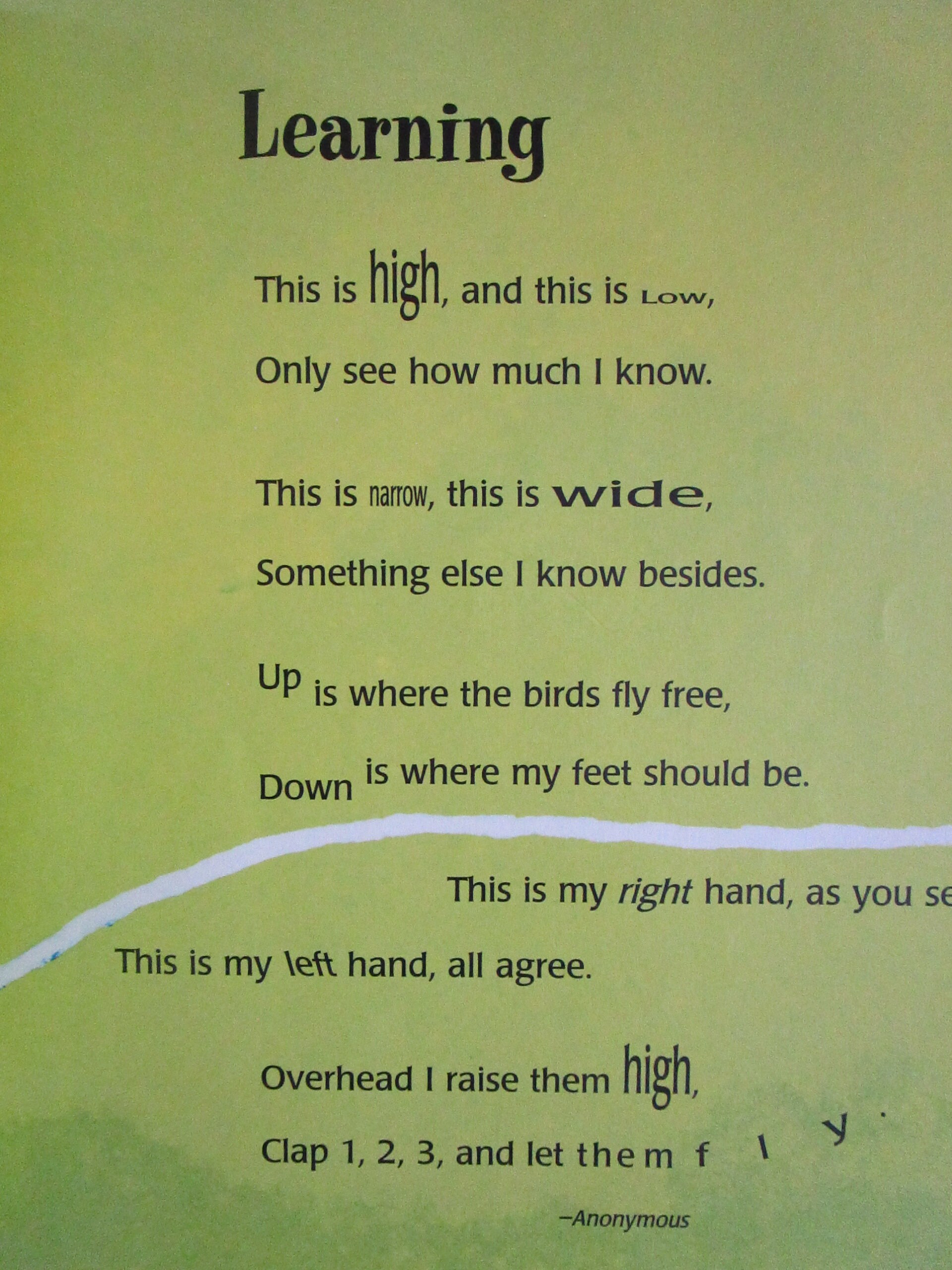 The Everything Book by Denise Fleming - Etsy