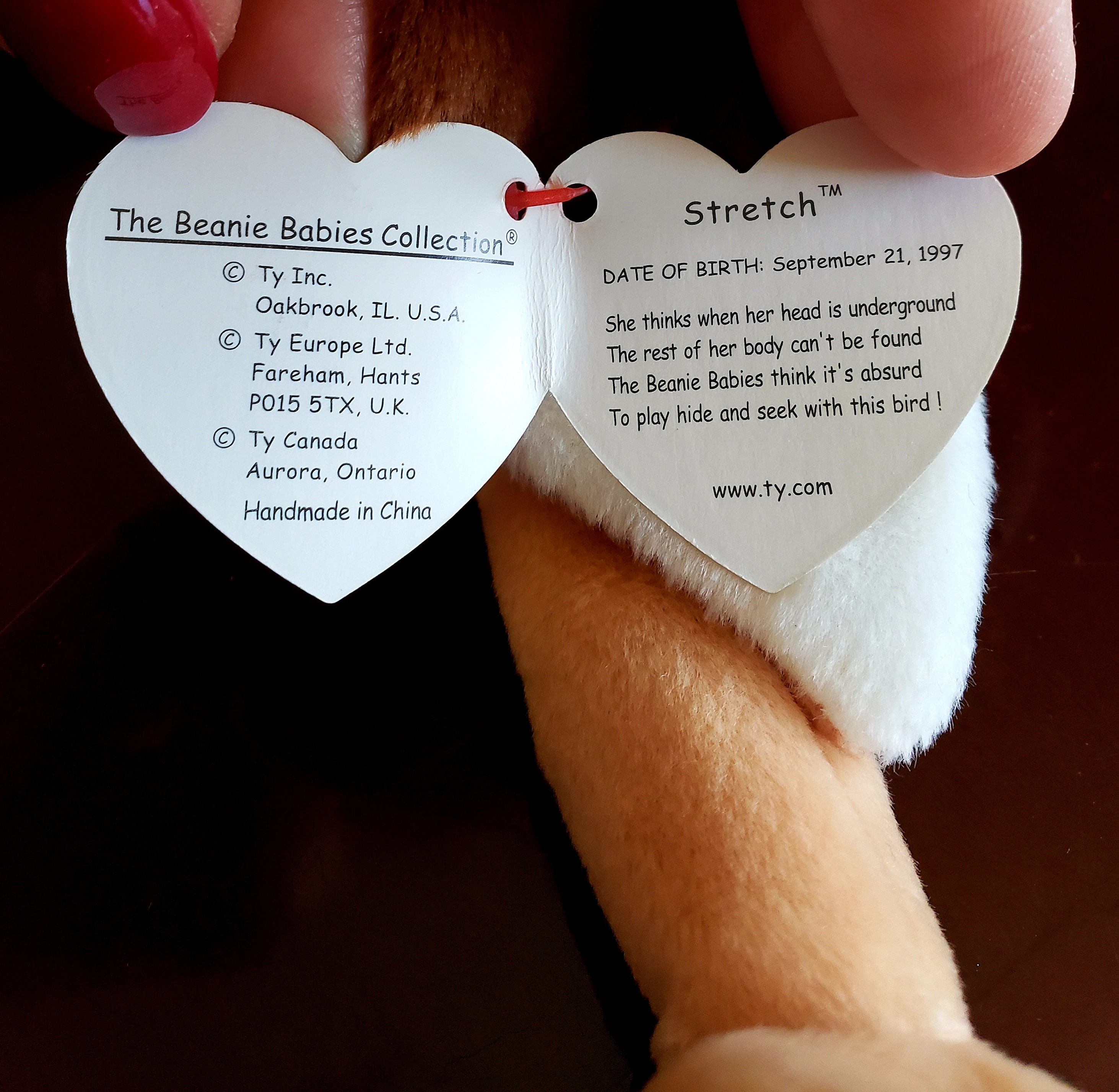 Stretch Beanie Baby - Etsy