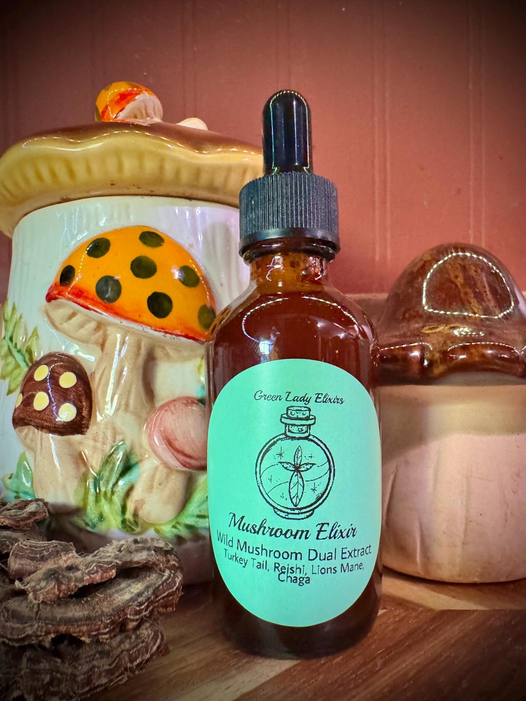 Mushroom Elixir – Wild Mushroom Dual Extract Tincture| Reishi • Turkey ...