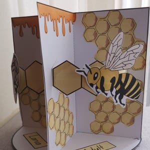 Honeybee Life Cycle Diorama Craft Project, Homeschooling, Science ...