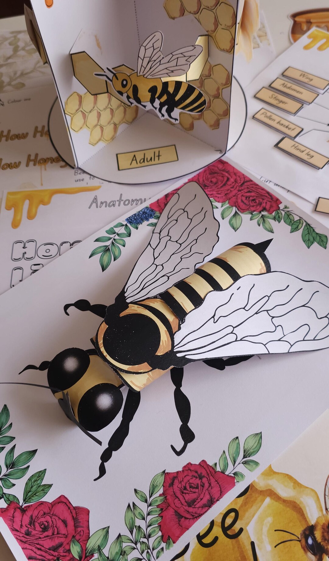 3D Honeybee Craft Project, Homeschooling, Science Project, Biology ...