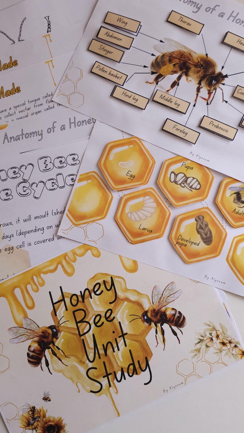 Honeybee Unit Study Bundle Homeschooling Home Education Science Biology ...