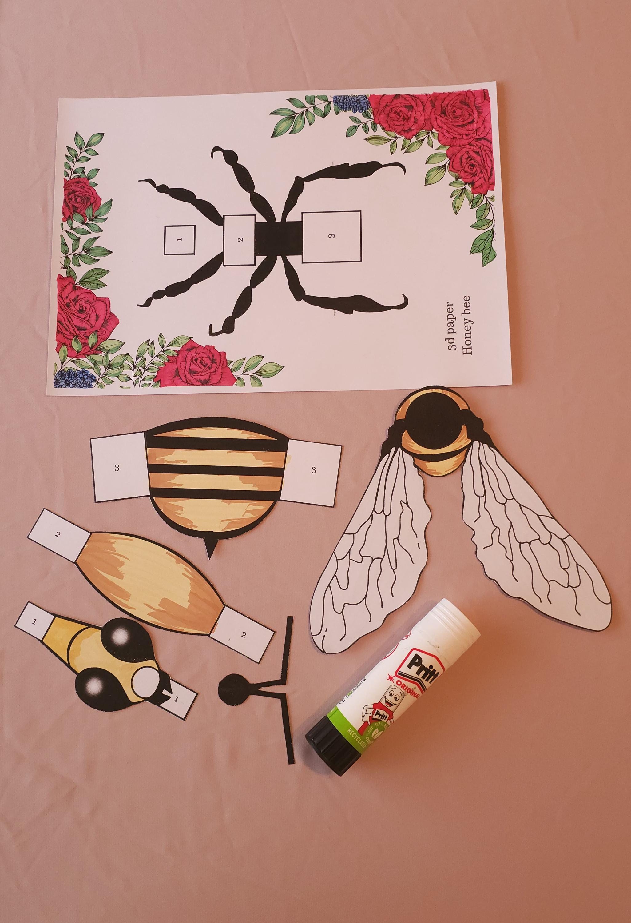 3D Honeybee Craft Project, Homeschooling, Science Project, Biology ...