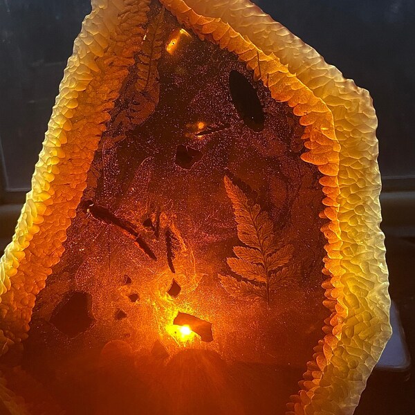Amber With Insect - Etsy