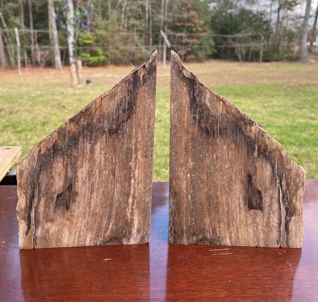 Petrified Wood Bookends- Great Pattern Andwood Grain! - Etsy