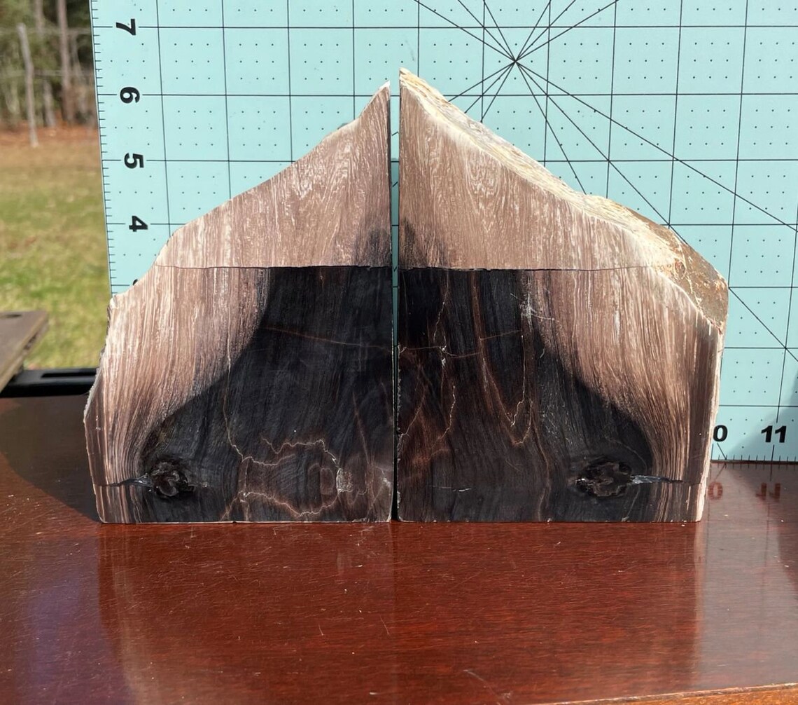 Petrified Wood Bookends- Great Pattern Andwood Grain! - Etsy