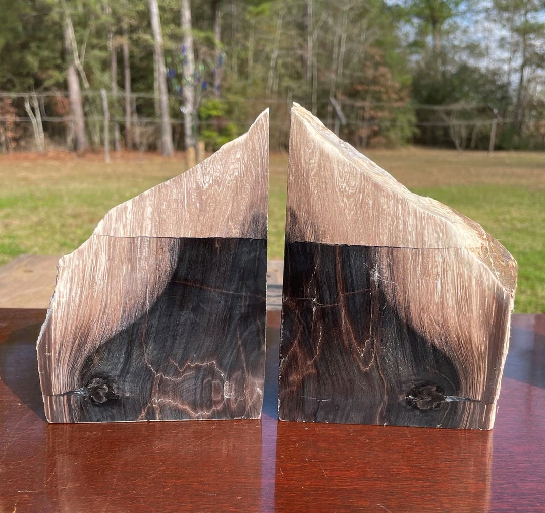 Petrified Wood Bookends- Great Pattern Andwood Grain! - Etsy