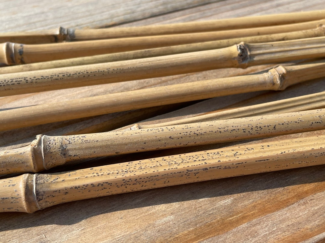 Bamboo Sticks 46” Long, Set of 6, Dried and Natural, Poles for Floral ...