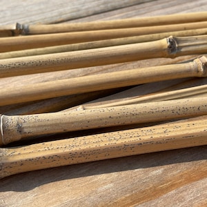 Bamboo Sticks 46” Long, Set of 6, Dried and Natural, Poles for Floral ...