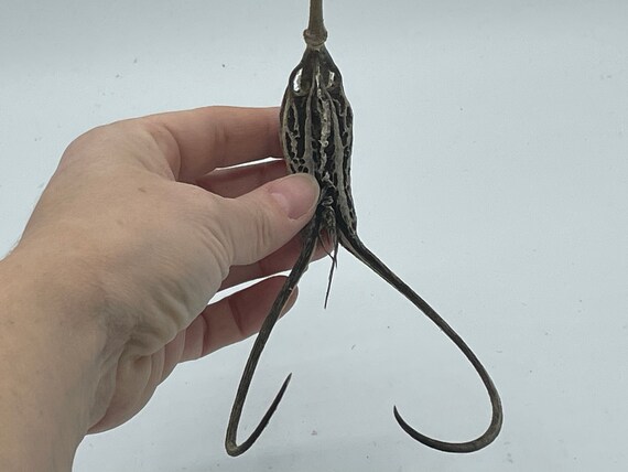 10 Devil's Claws Dried Natural Seed Pods Wreath Making | Etsy