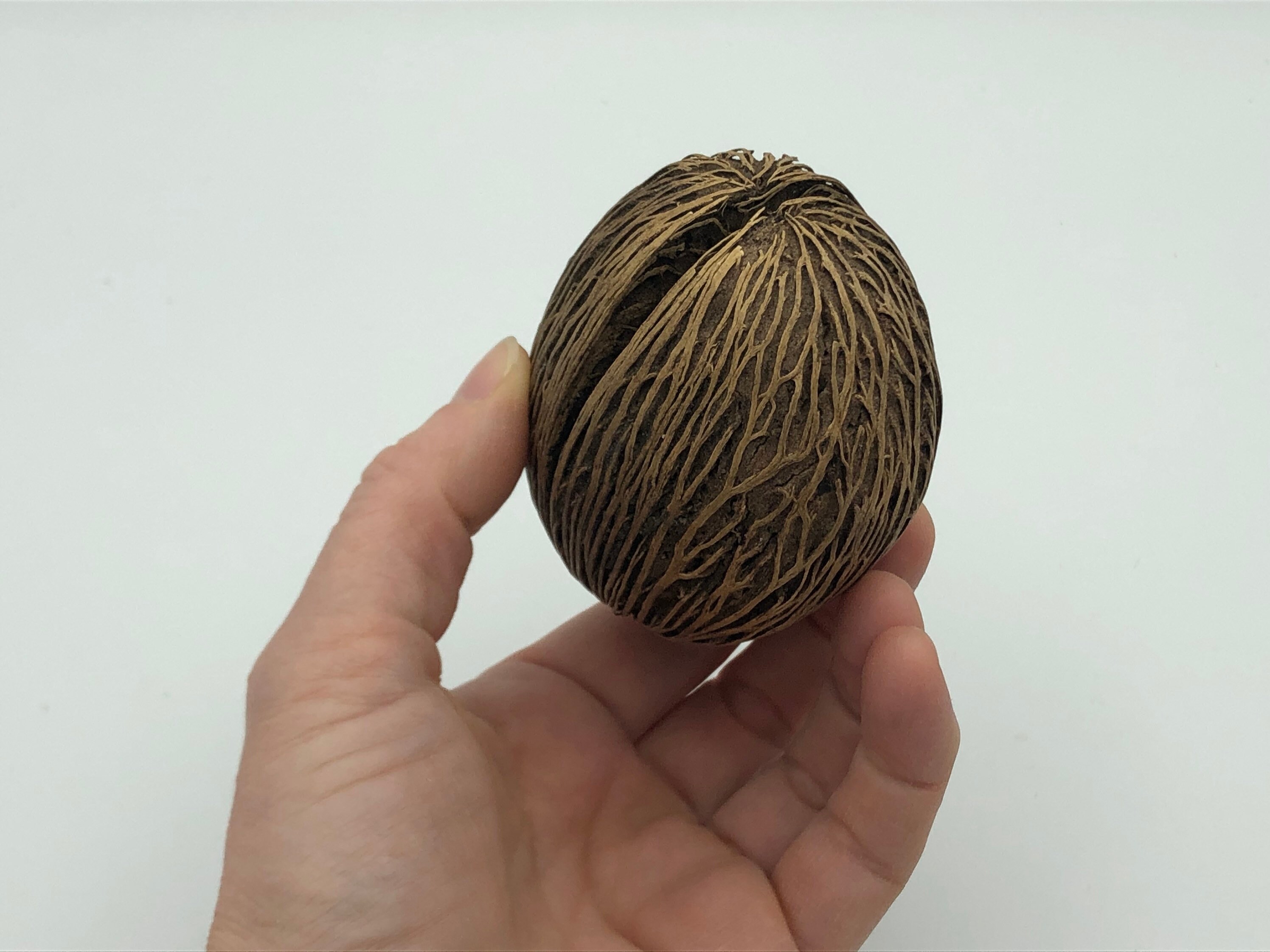 Modern Bowl Filler Ideas at Eileen Porras blog