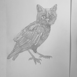 Spruce the Meowl Original Drawing - Etsy