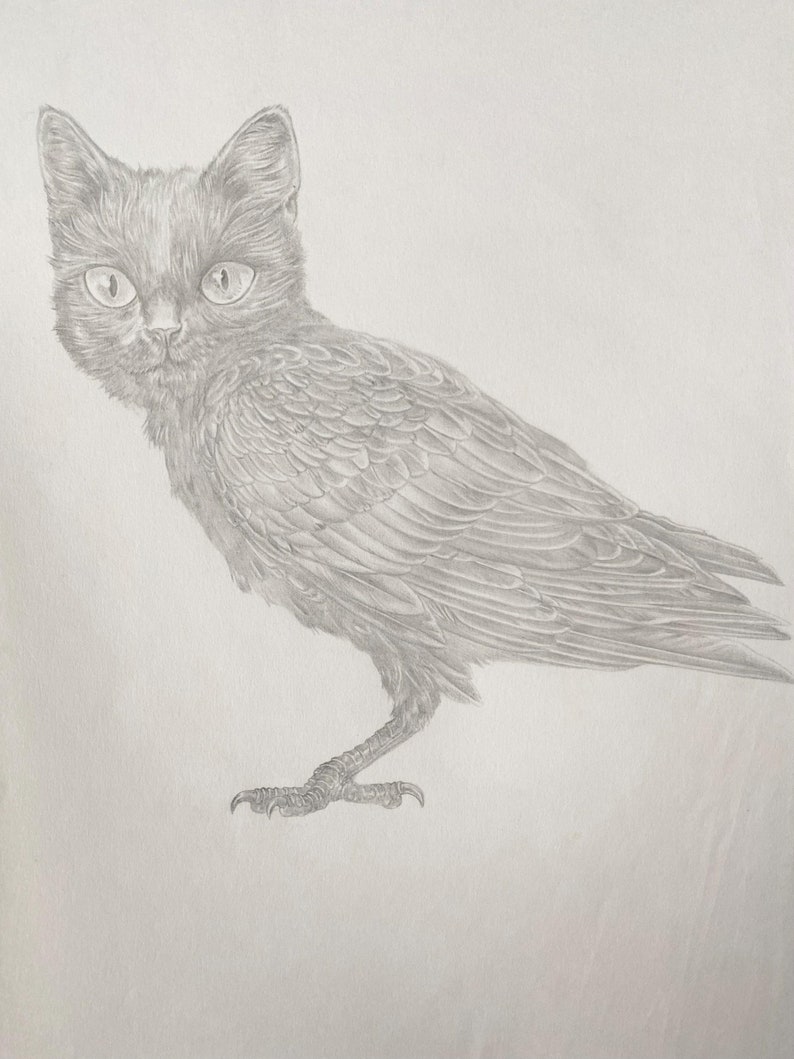 Mayflower the Meowl Original Drawing - Etsy
