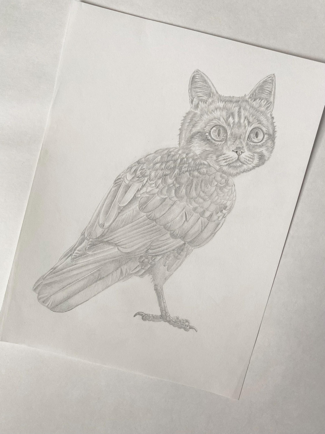 Hollyhock the Meowl Original Drawing - Etsy