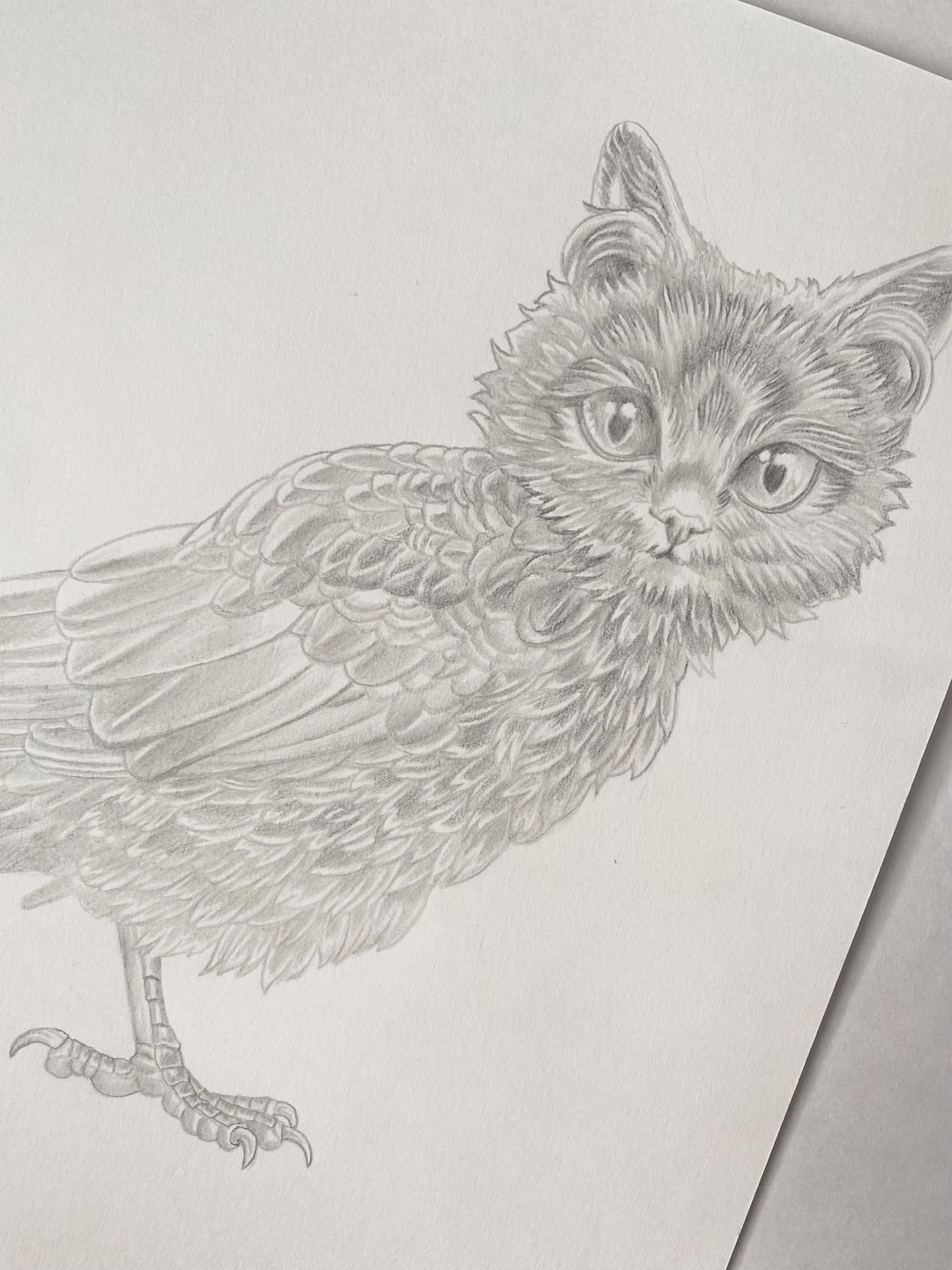 Willow the Meowl Original Drawing - Etsy