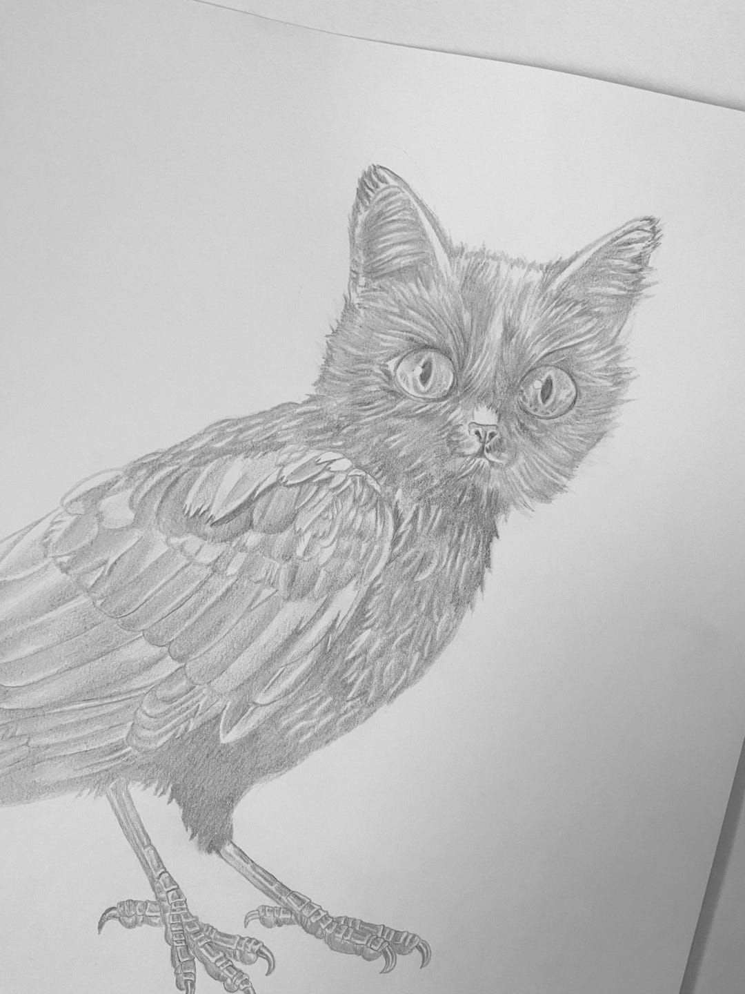 Spruce the Meowl Original Drawing - Etsy
