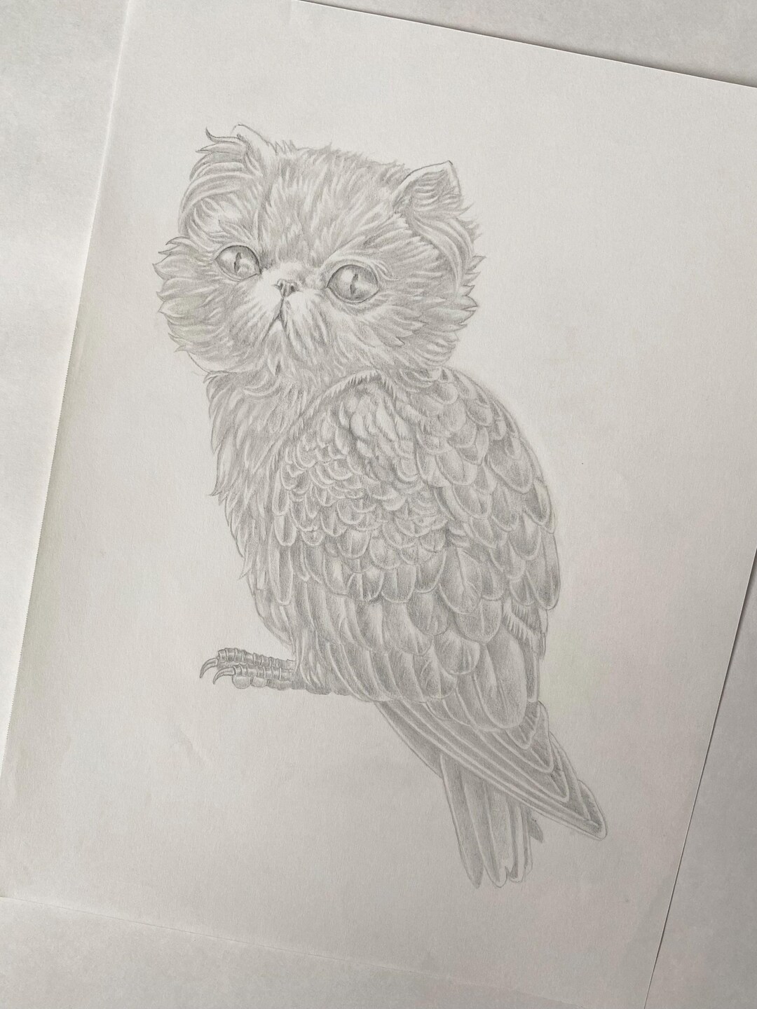 Gourd the Meowl Original Drawing - Etsy