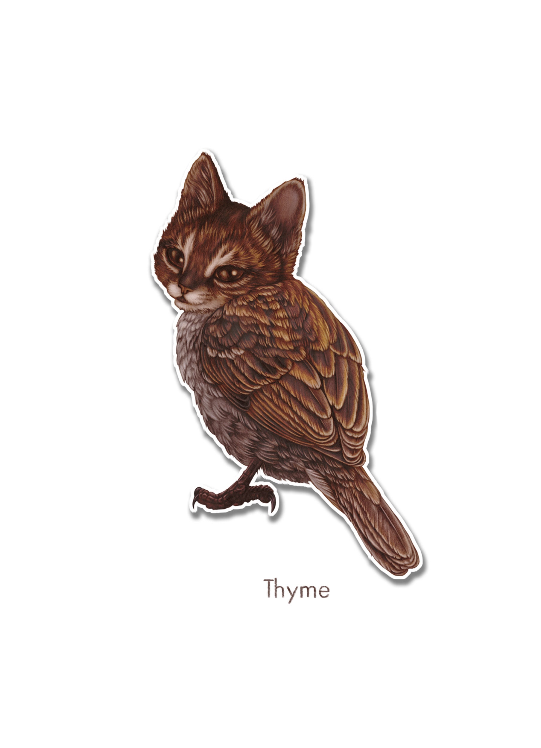 Thyme the Meowl Sticker - Etsy