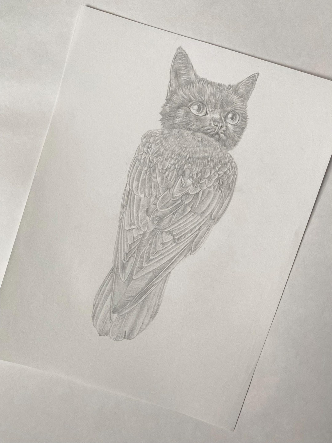 Blueberry the Meowl Original Drawing - Etsy