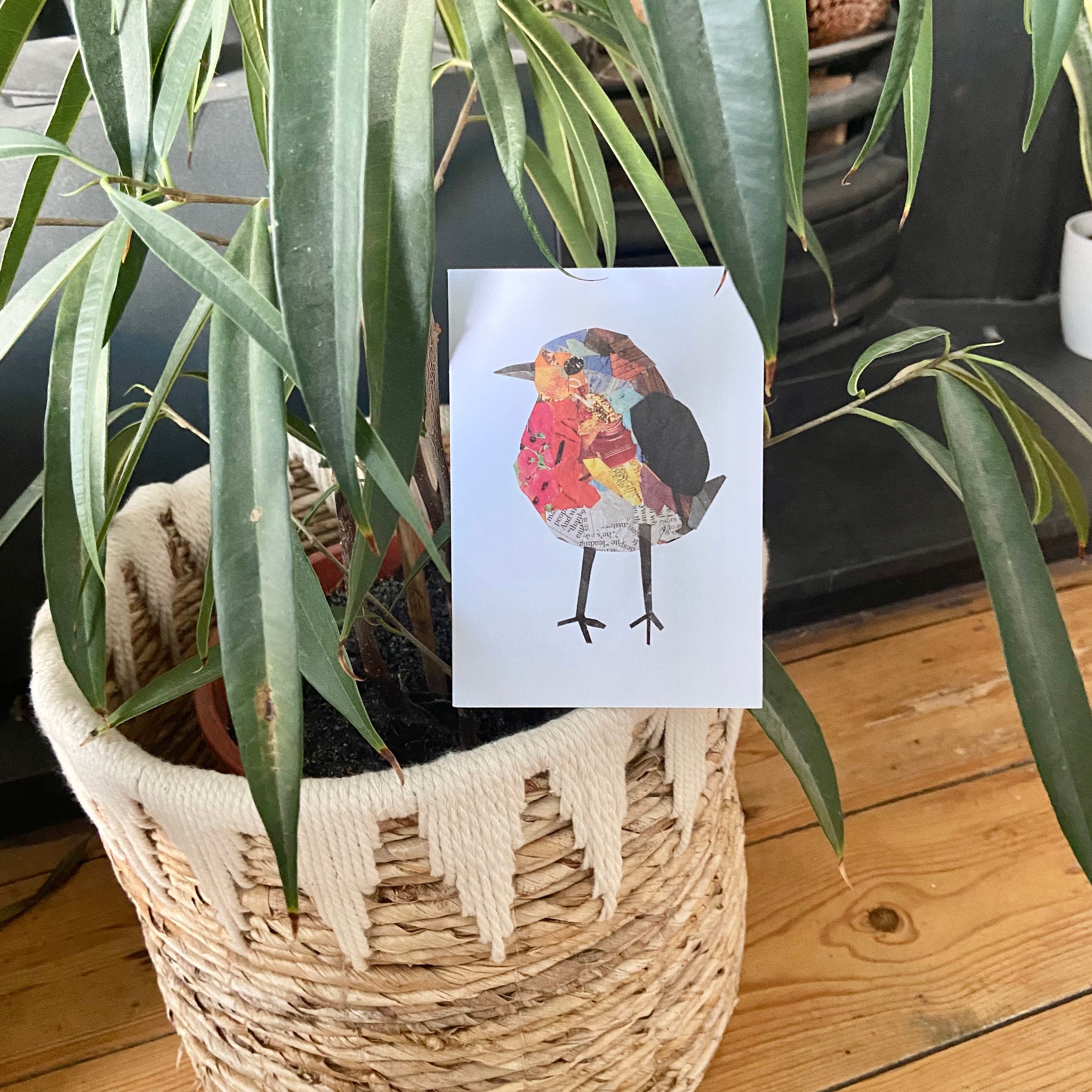 Robin Greeting Card / Robin Card / Robin Print / Robin - Etsy Sweden