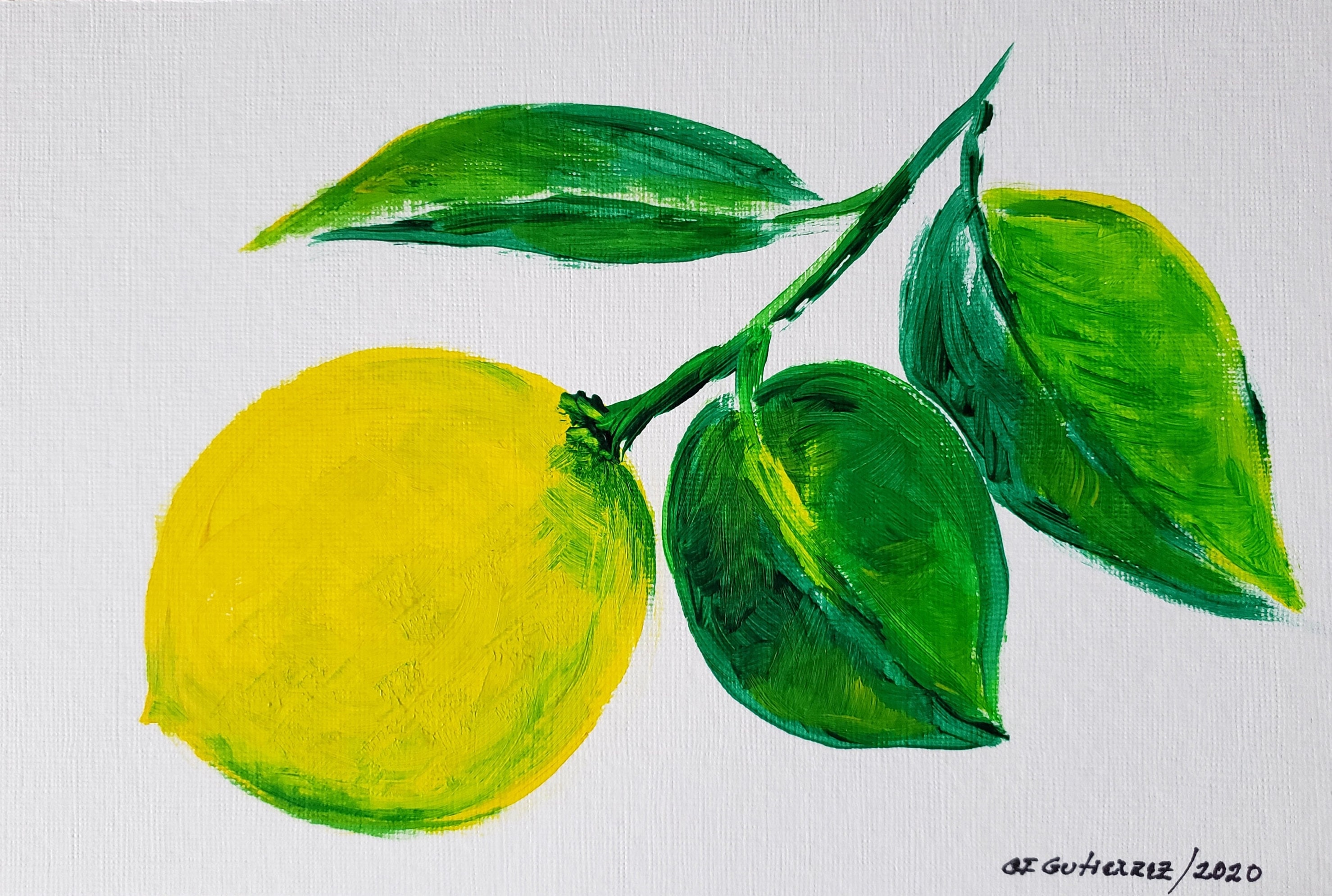Meyer Zitrone. Handgemalt, Acryl auf hochwertigem Papier - Etsy.de