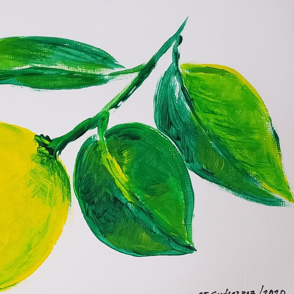 Meyer Zitrone. Handgemalt, Acryl auf hochwertigem Papier - Etsy.de