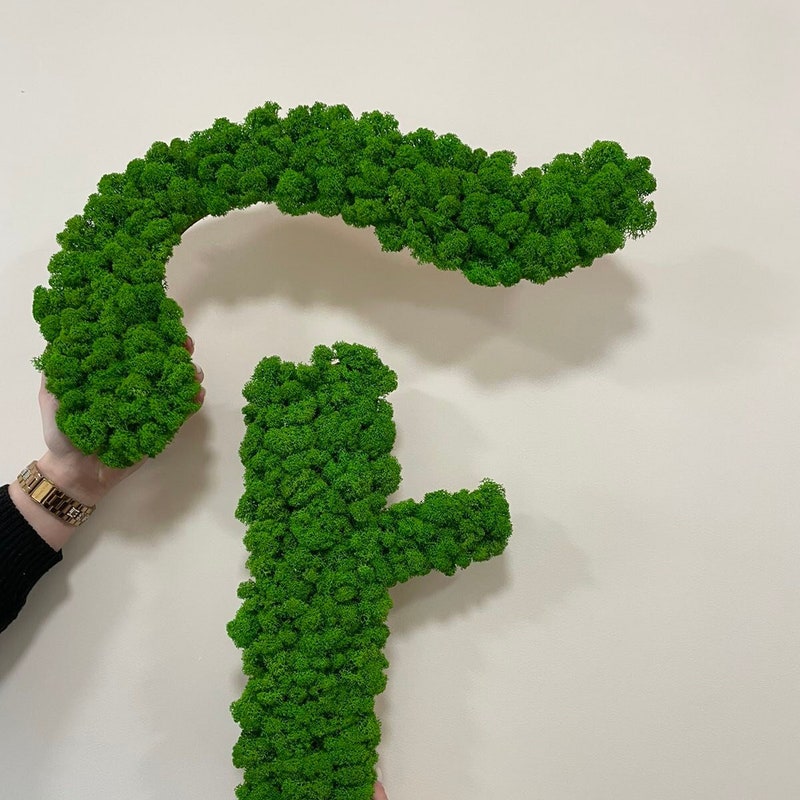 Moss Letters - Etsy