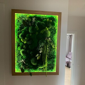 Panel With Moss and Illumination, Peel and Stick Wallpaper Acoustic ...