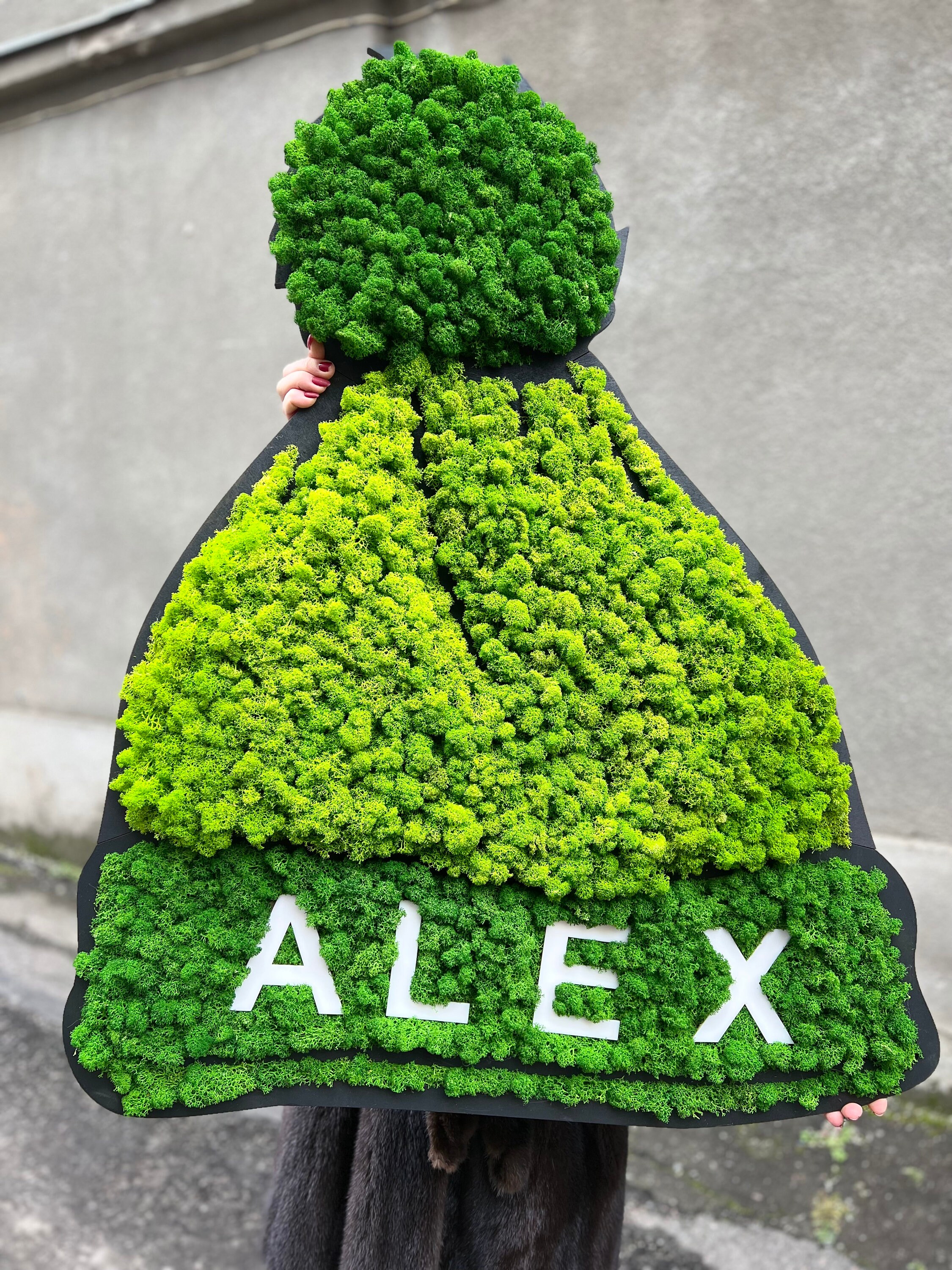 Company Logo, Custom Moss Wall Art, Real Moss Custom Logo Sign, Office ...