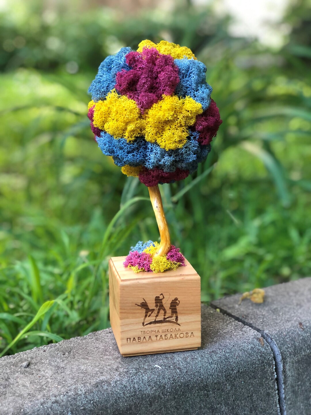 Mother's Day Special: Moss Topiary Bonsai Finger Decor - Whimsical ...