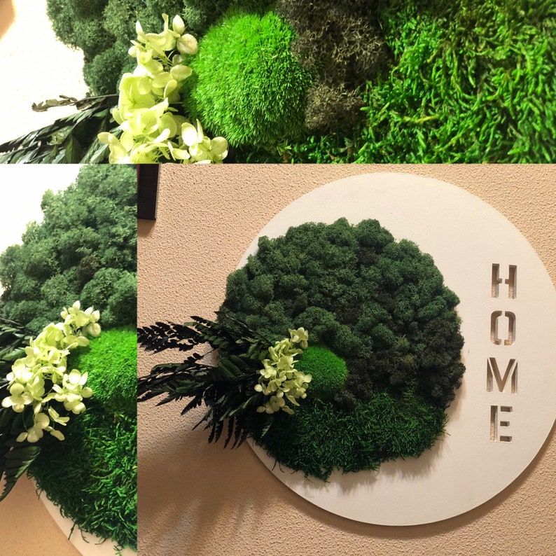 Moss Picture on the Wall, Tree Wall Art, Moss Art, Home Decor, Moss ...