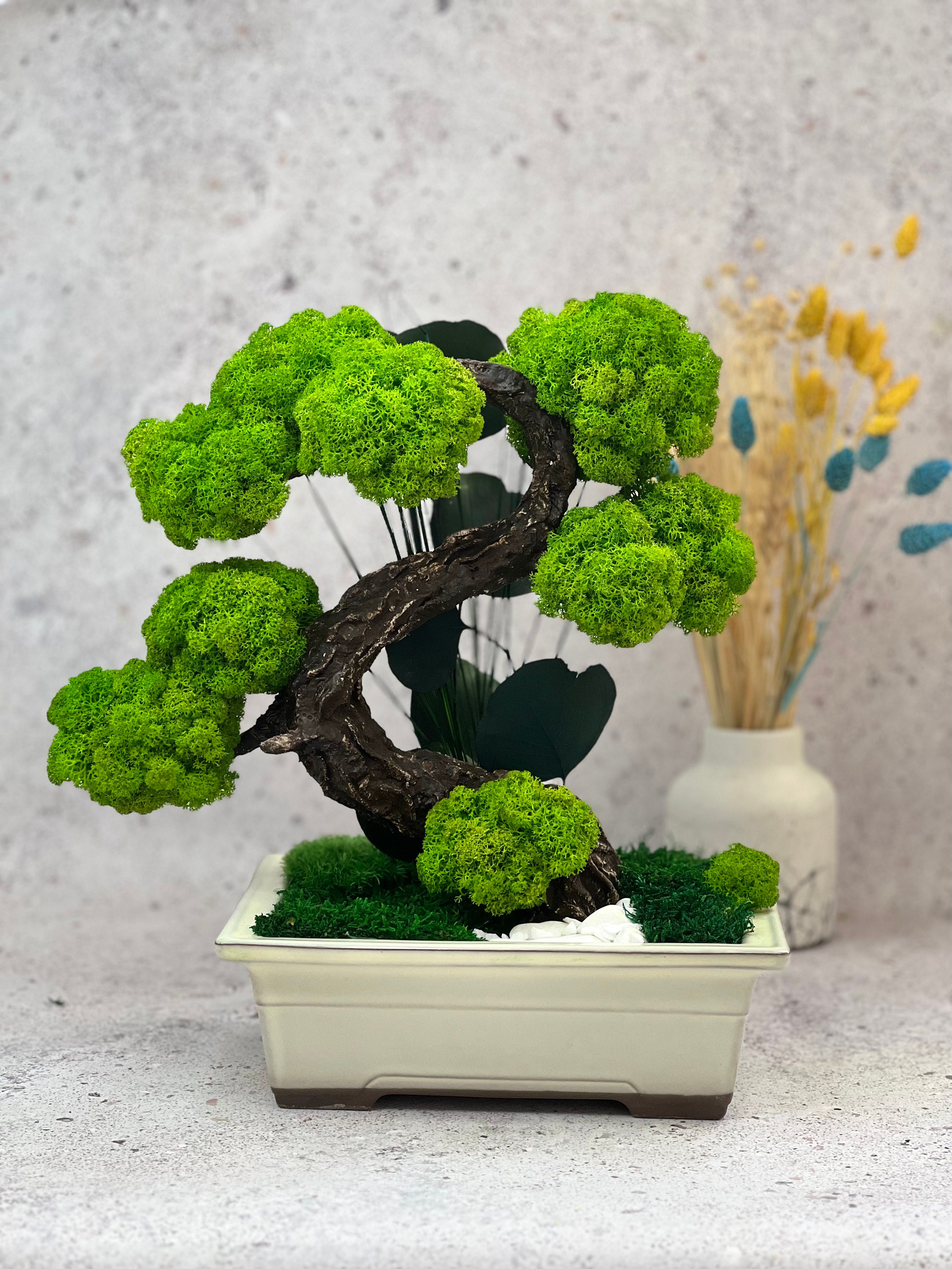 Bonsai Tree. Made From Preserved Moss on a Handmade Artificial Trunk ...