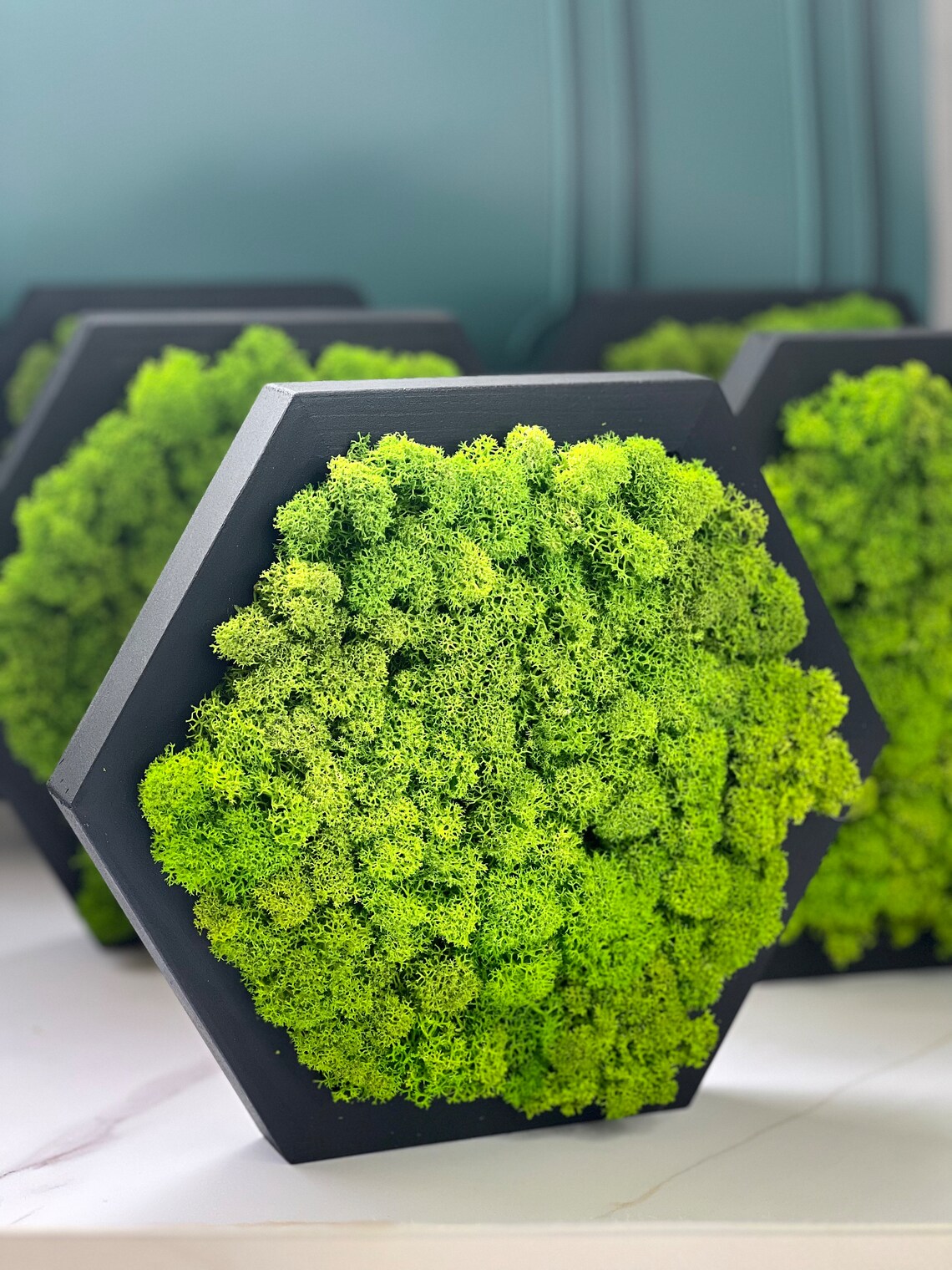Honeycomb in a Black Frame Moss Decor Stabilized Moss Wall - Etsy