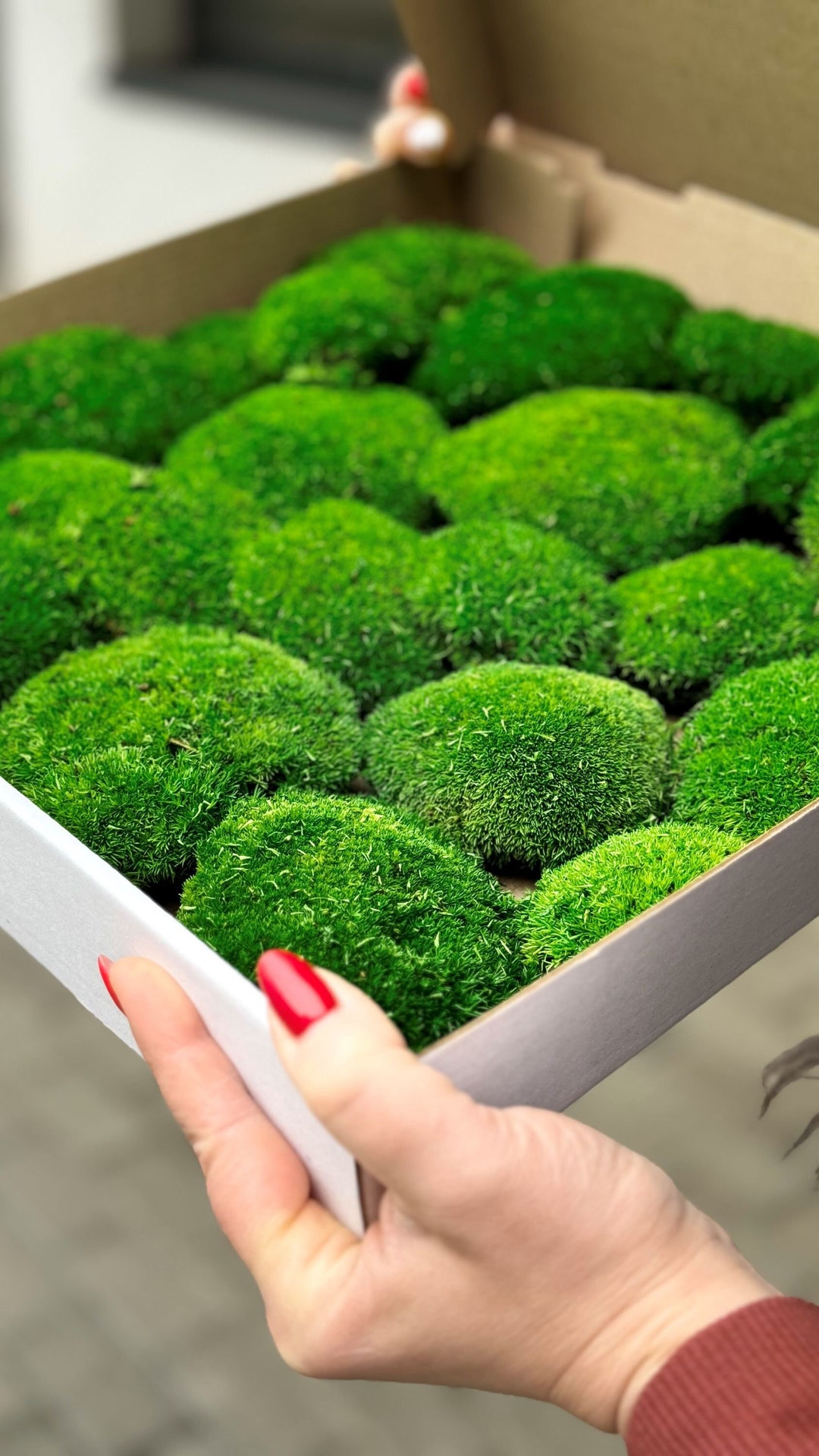 Natural Stabilized Moss for DIY, Floral Project Green Moss for Home ...