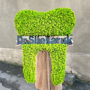 Personalized Moss Tooth Wall Art, Dentist Office Decor, Custom Name ...