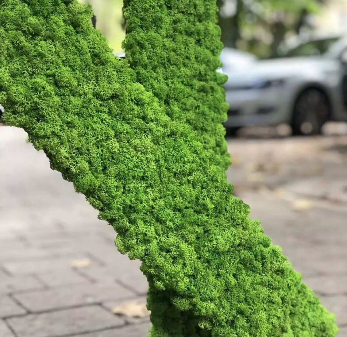 Wall Moss Ceiling Tiles Panels, Moss Ceiling Panels, Natural Dried Moss ...