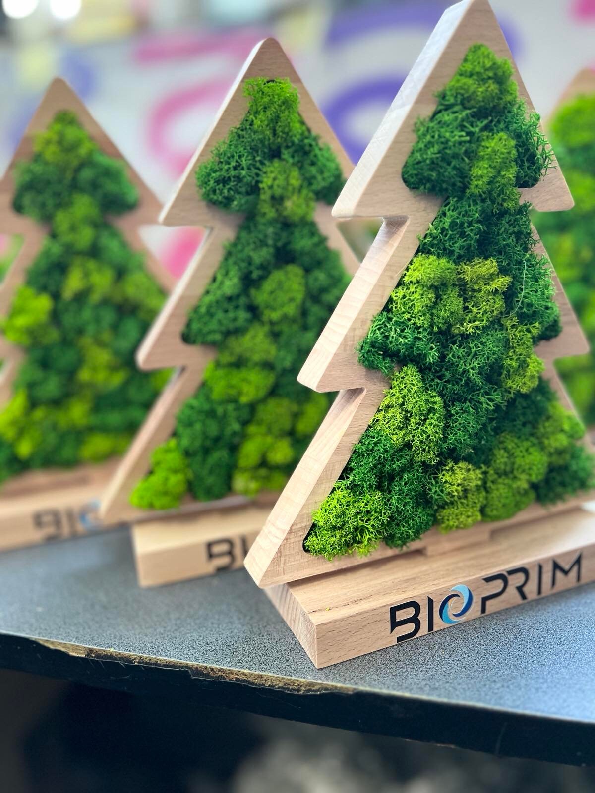 Green Moss Christmas Tree Christmas Moss Tree Small - Etsy