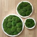 Round Moss Wall Art, Natural Live Moss Wall Decor, Decorative Greenery ...