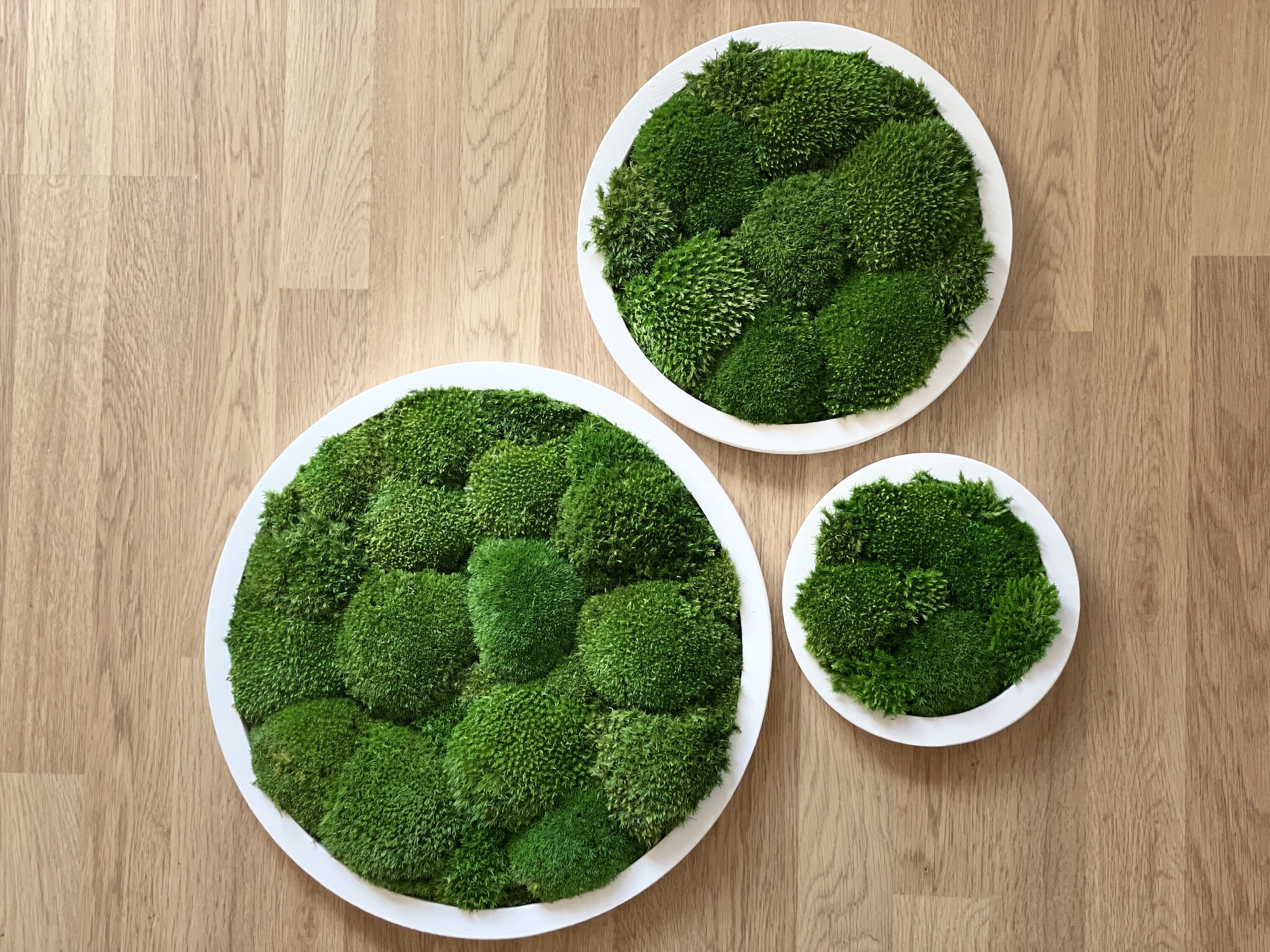 Moss Wall Art, Preserved Moss Wall Art, Moss Art, Live Moss, - Etsy