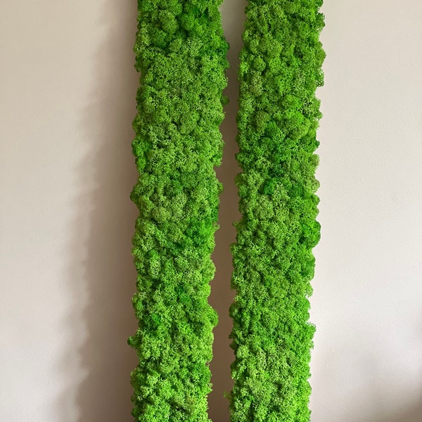Living Moss Wall Panel - Etsy
