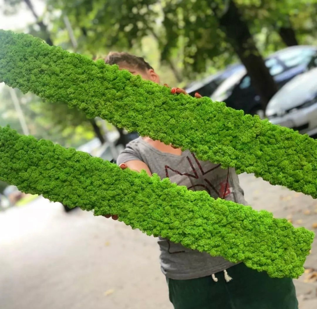 Wall Moss Ceiling Tiles Panels, Moss Ceiling Panels, Natural Dried Moss ...