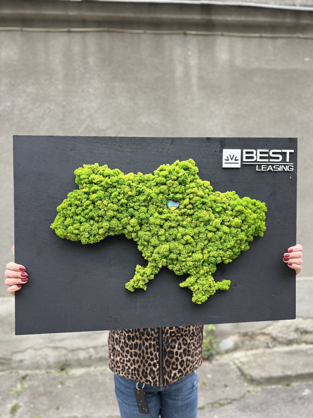 3D Moss Map, Reindeer Moss Map, Natural Wall Decoration, Moss World Map ...