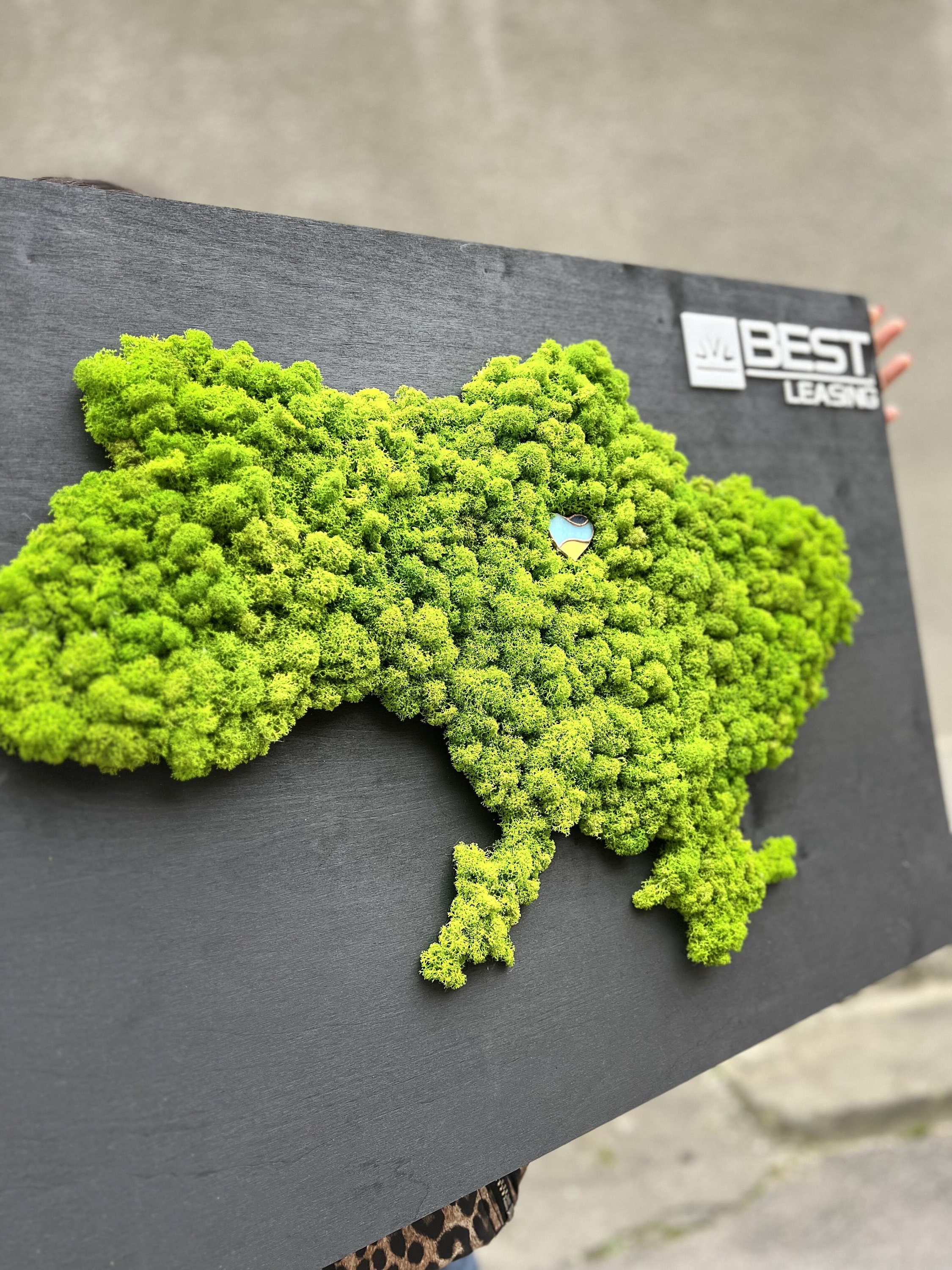 3D Moss Map, Reindeer Moss Map, Natural Wall Decoration, Moss World Map ...