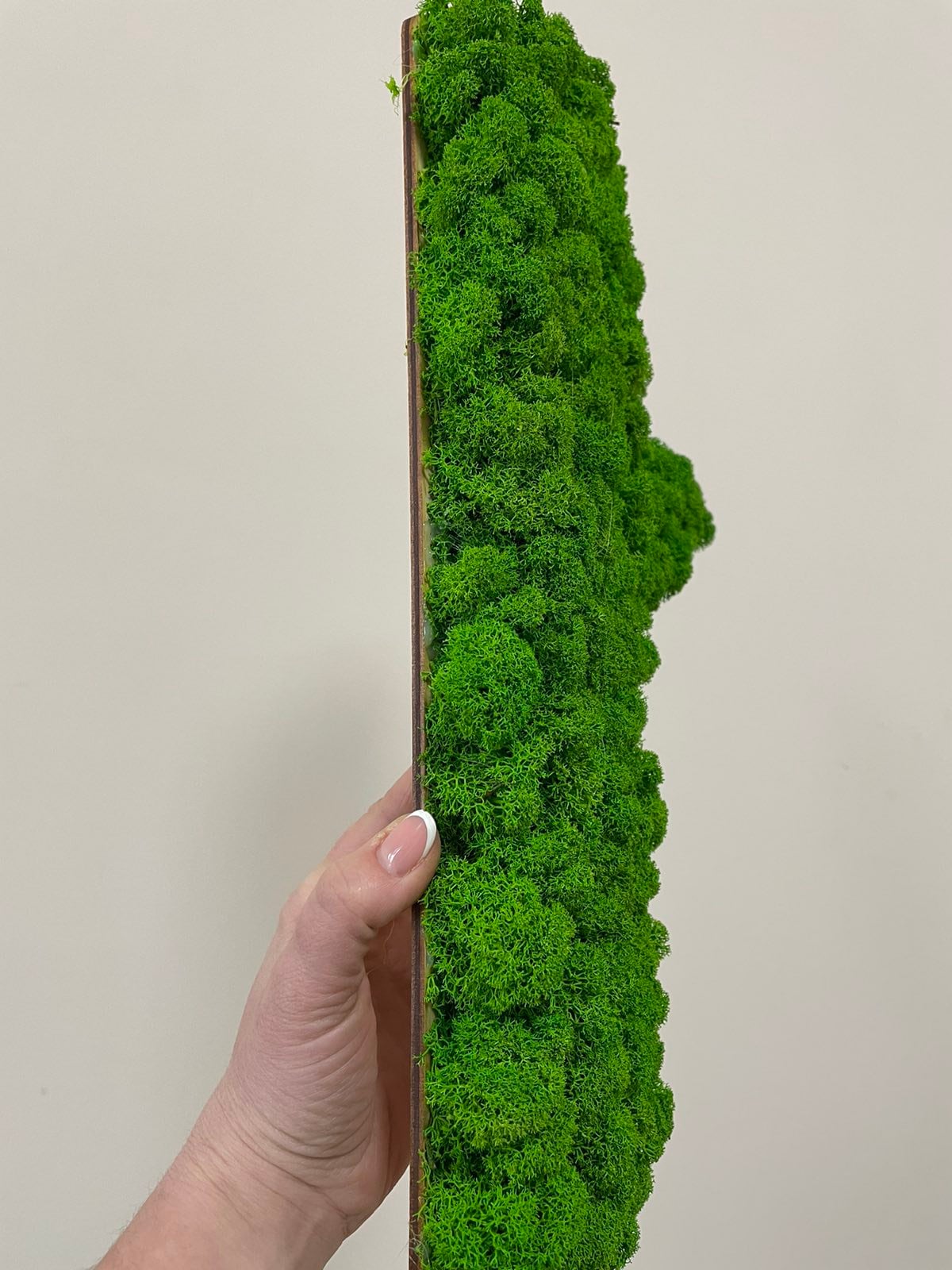 Business Logo Moss Sign, Personalized Letter, Real Moss Custom Logo ...