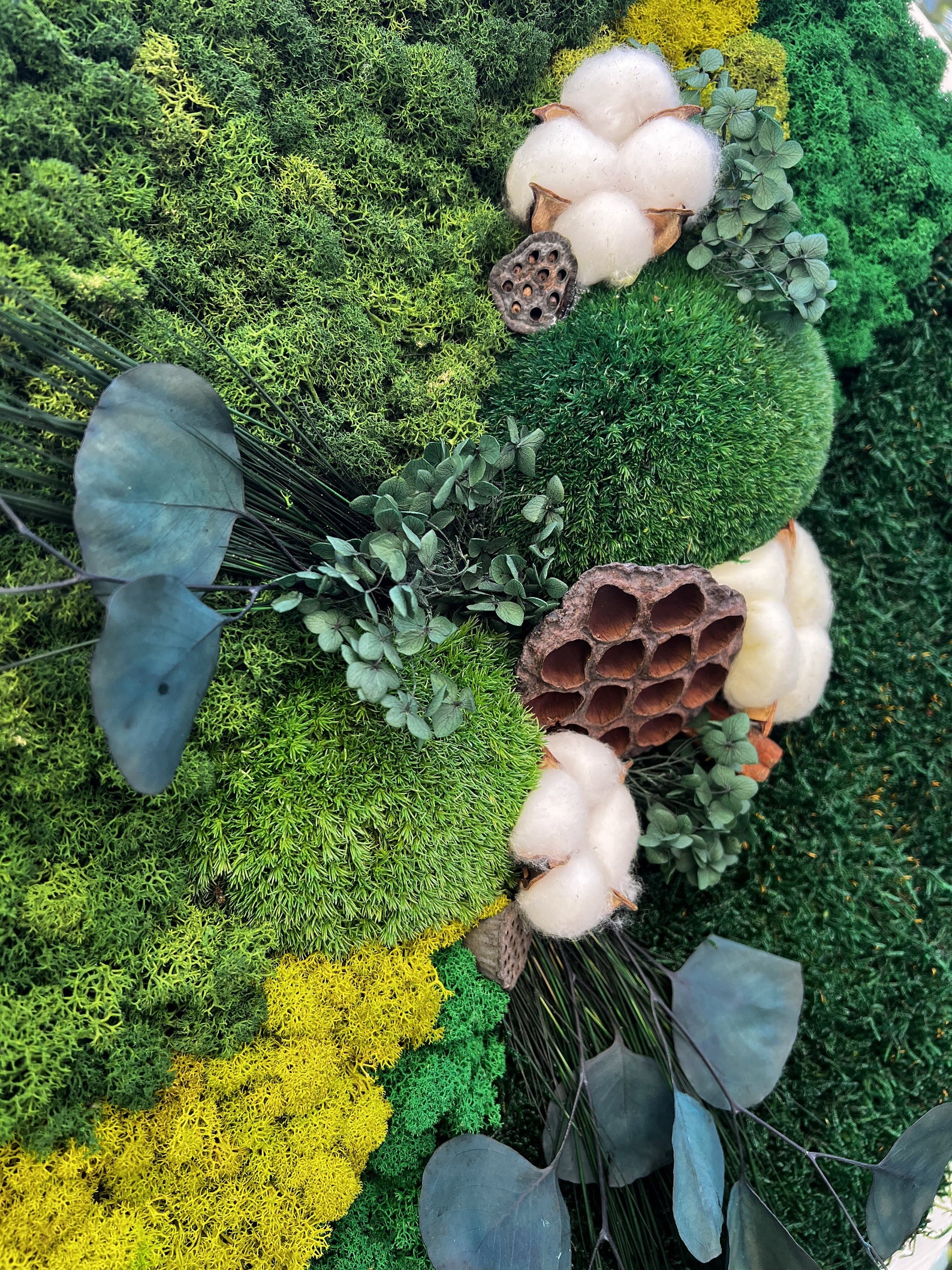 Moss Wall Art, Live Moss Wall Art, Framed Moss Art, Preserved Moss ...