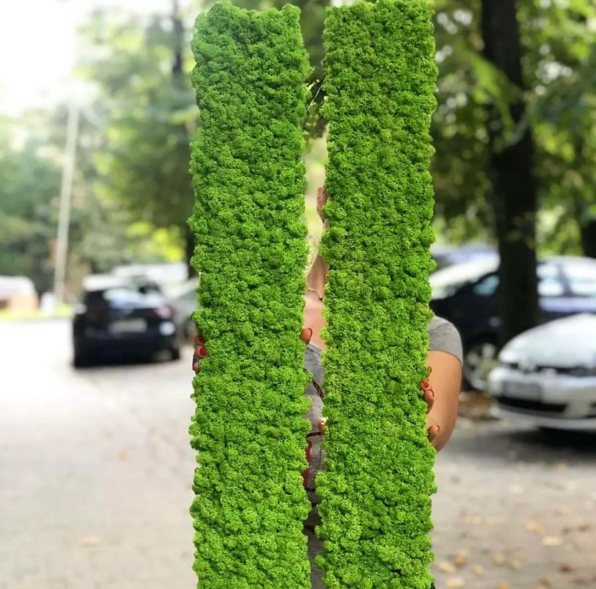 Wall Moss Ceiling Tiles Panels, Moss Ceiling Panels, Natural Dried Moss ...