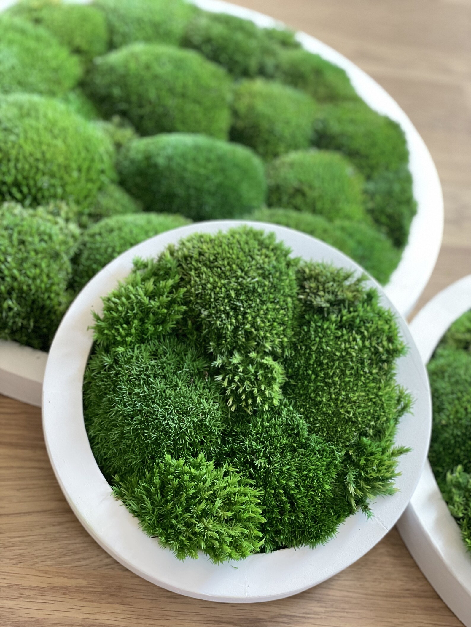 Round Moss Wall Art, Natural Live Moss Wall Decor, Decorative Greenery ...