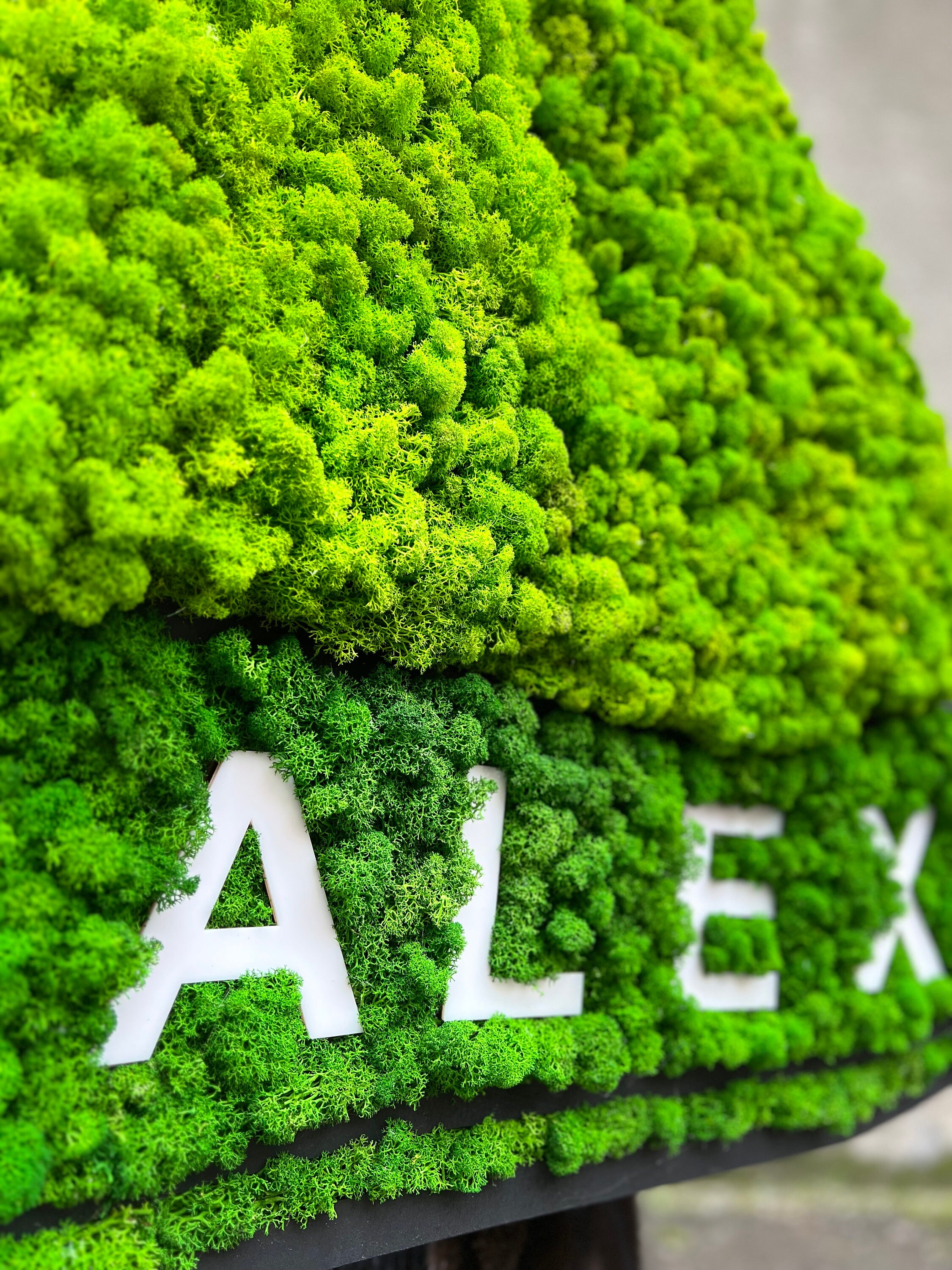 Company Logo, Custom Moss Wall Art, Real Moss Custom Logo Sign, Office ...